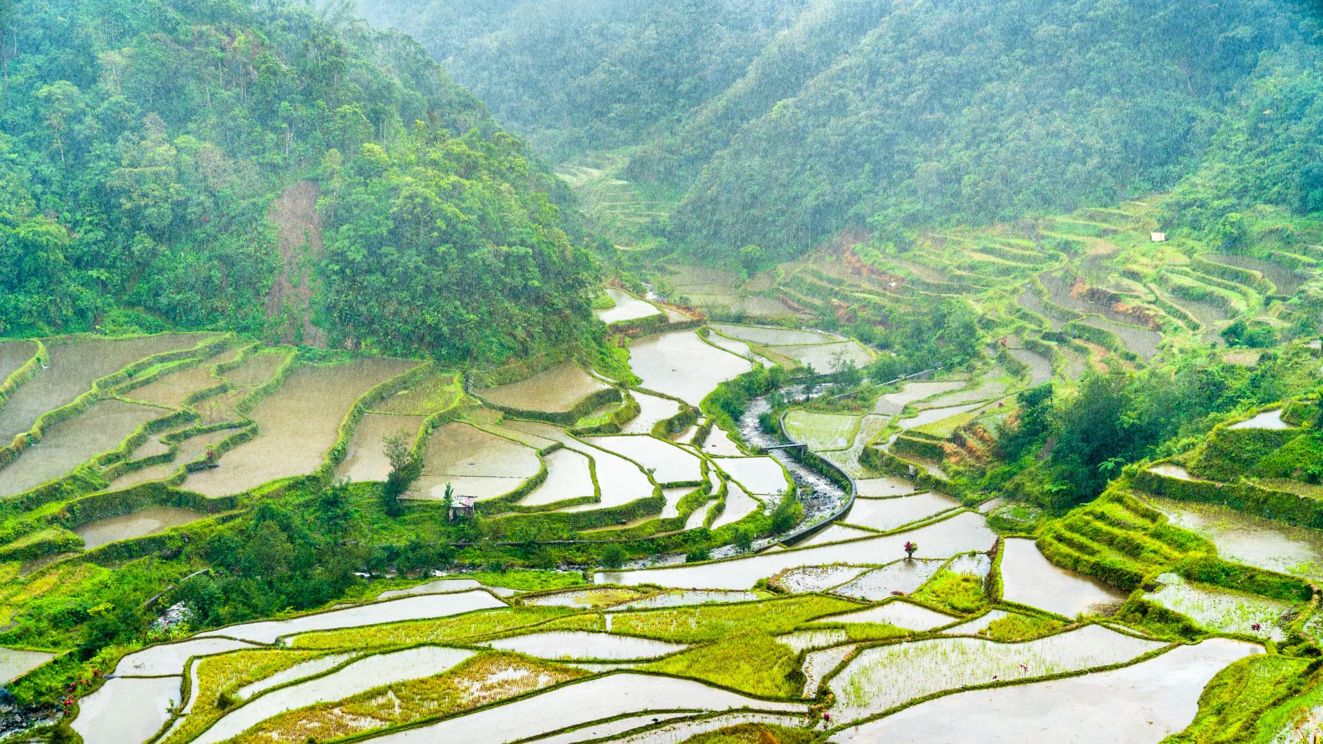 Top Urban Destinations in the Philippines - Philippine Observer